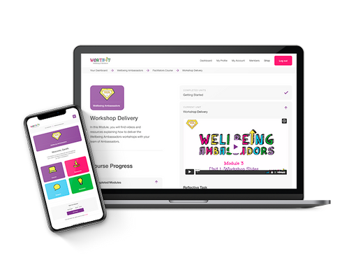 Wellbeing Ambassadors - Peer mentoring support programme